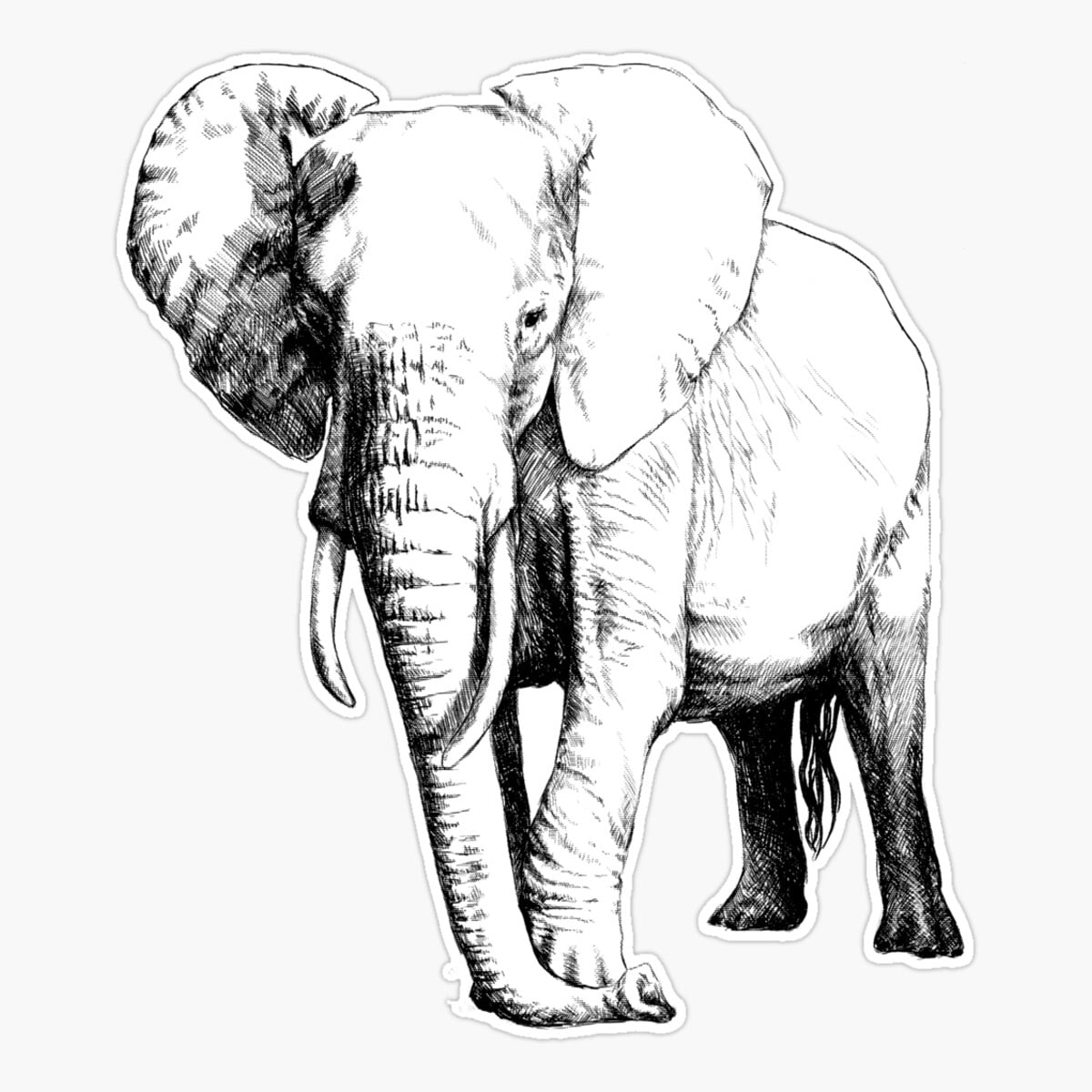 Maneki African Elephant (Bright Background) Er, Phone Decal Water ...