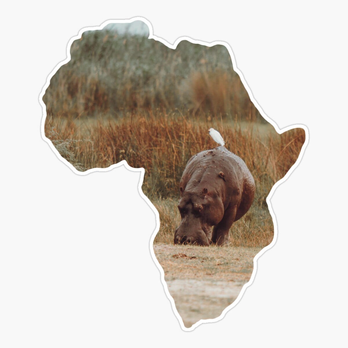 Maneki African Hippo Wildlife Art With Africa Map Design Er, Phone ...