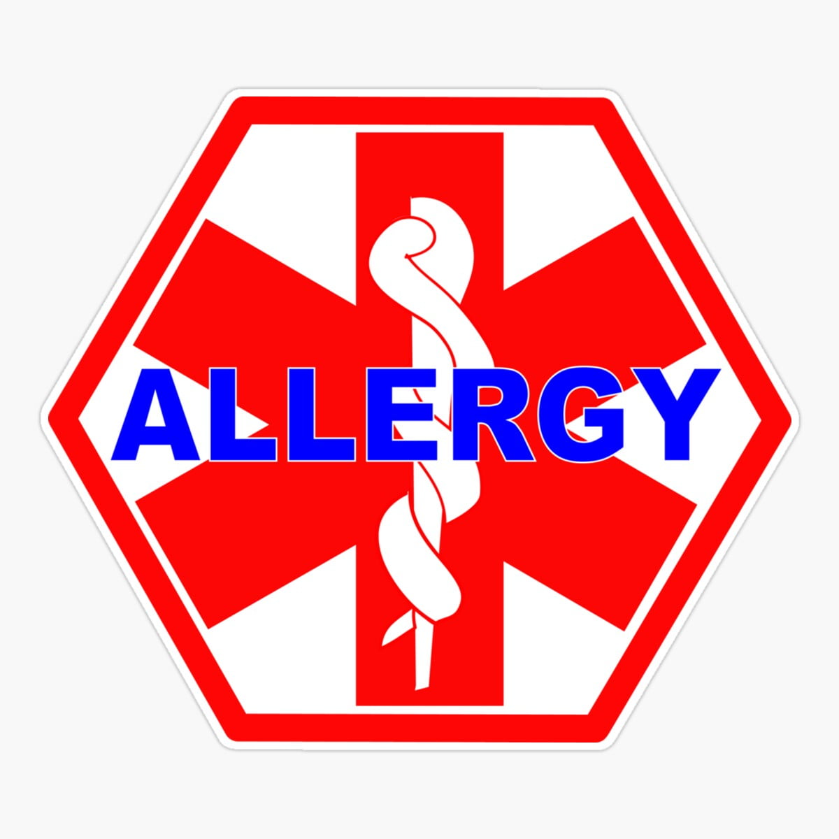 Maneki Allergy Medical Alert Id Tag Er, Phone Decal Water Bottle ...