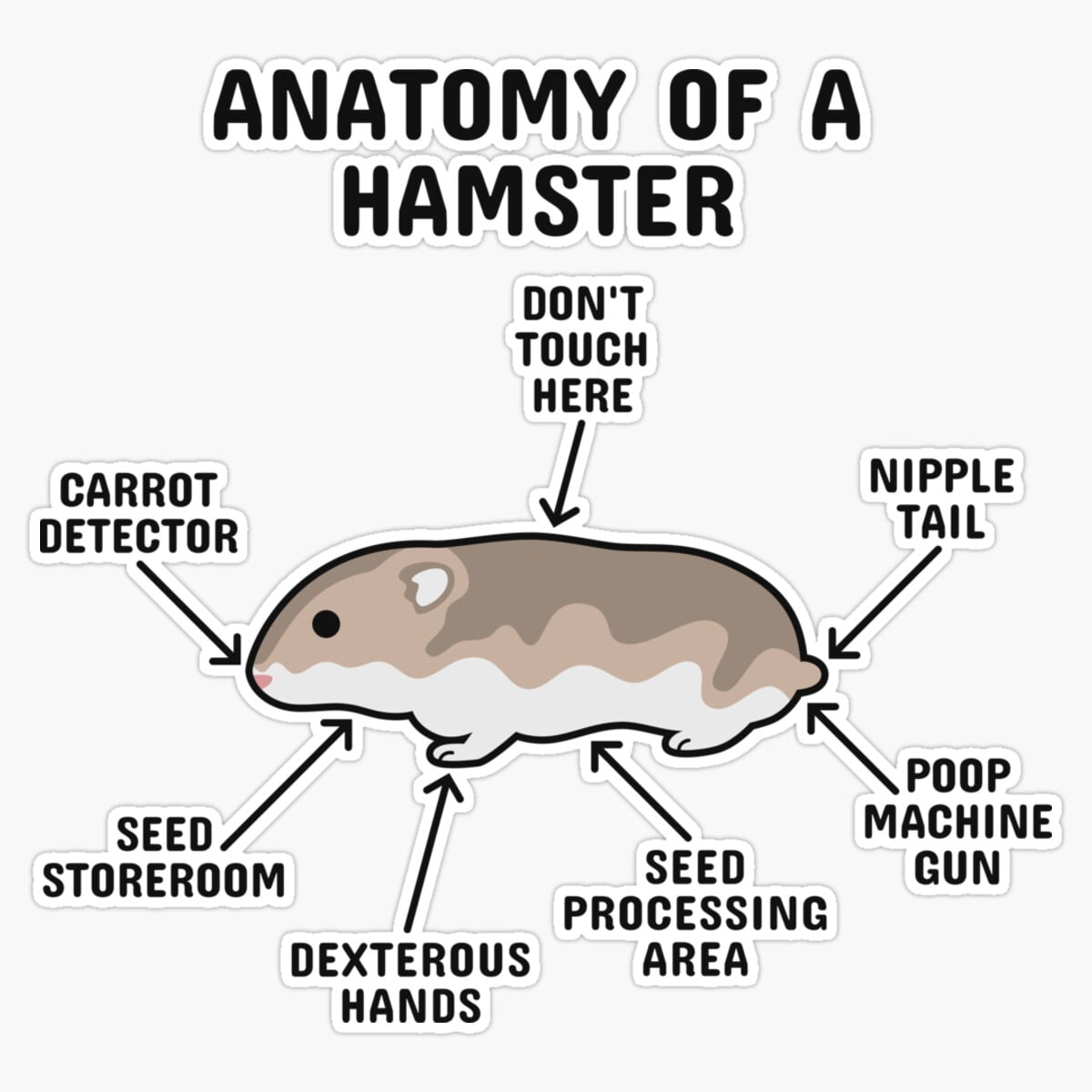 Maneki Anatomy Of A Hamster Brown Er, Phone Decal Water Bottle Stickers ...