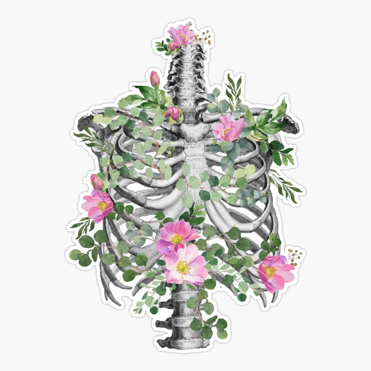 Maneki Anatomy, Ribcage, Rib Cage,Skeleton Pink Roses Er, Phone Decal ...