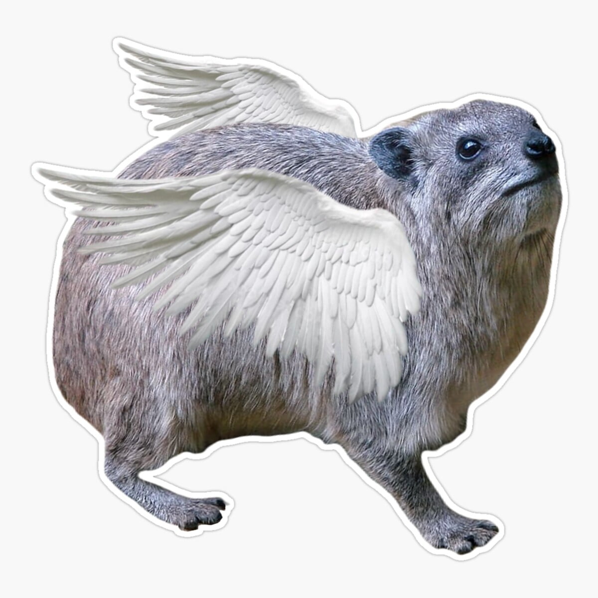 Maneki Angel Hyrax Er, Phone Decal Water Bottle Stickers Car Decals ...