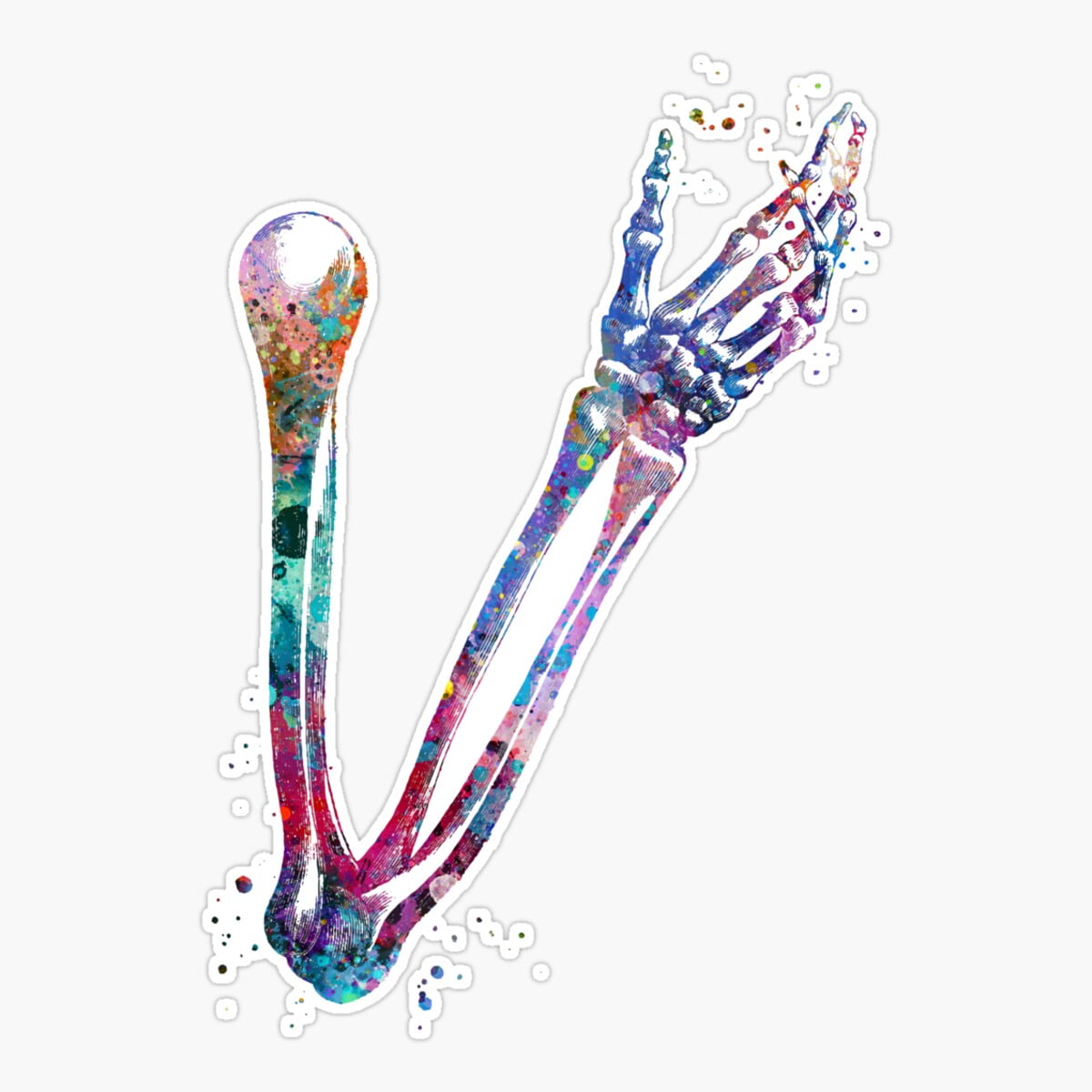 Maneki Arm And Hand Bones Skeleton Er, Phone Decal Water Bottle ...