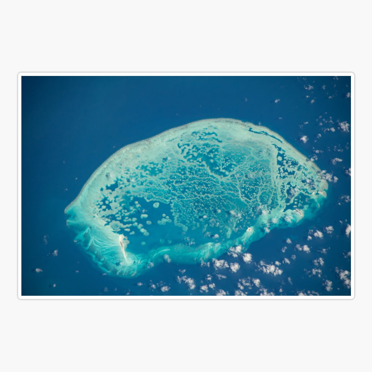 Maneki Astronaut'S View O Scorpion Ree - Turquoise Marine Splendor ...