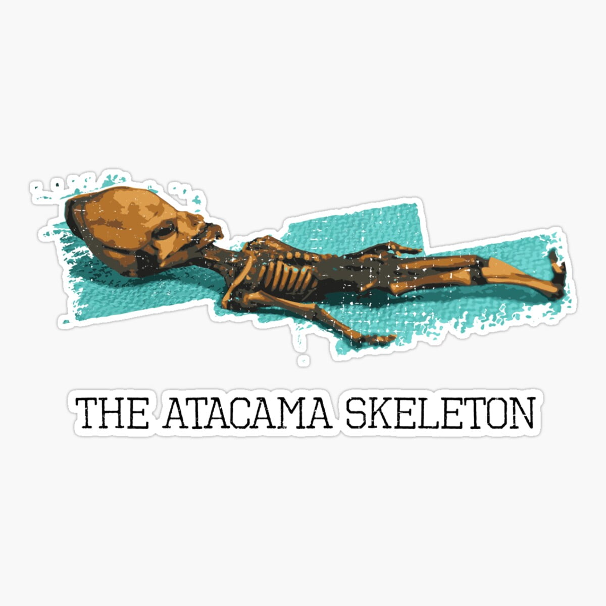 Maneki Atacama Skeleton Er, Phone Decal Water Bottle Stickers Car ...