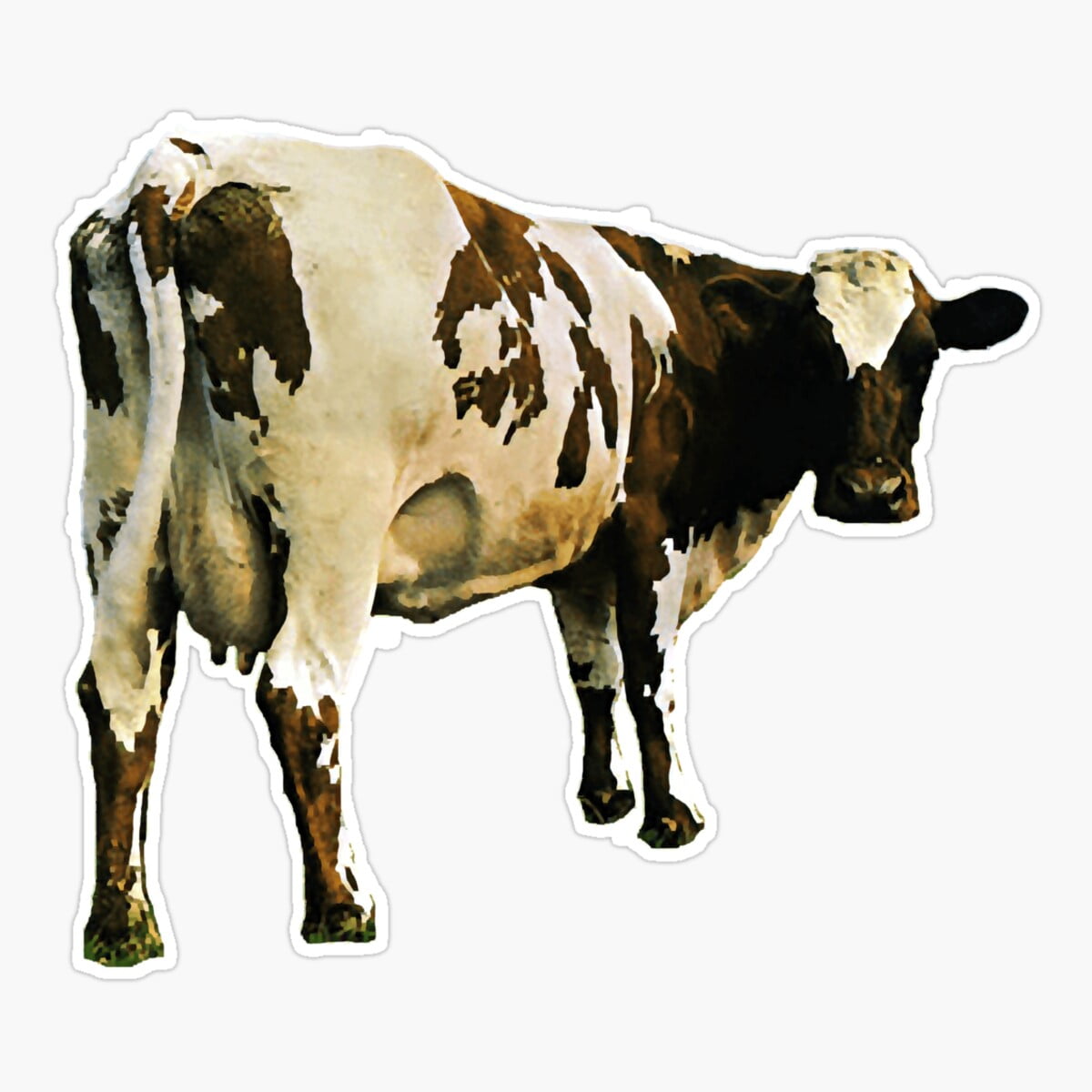 Maneki Atom Heart Mother Clic T Shirt Er, Phone Decal Water Bottle ...