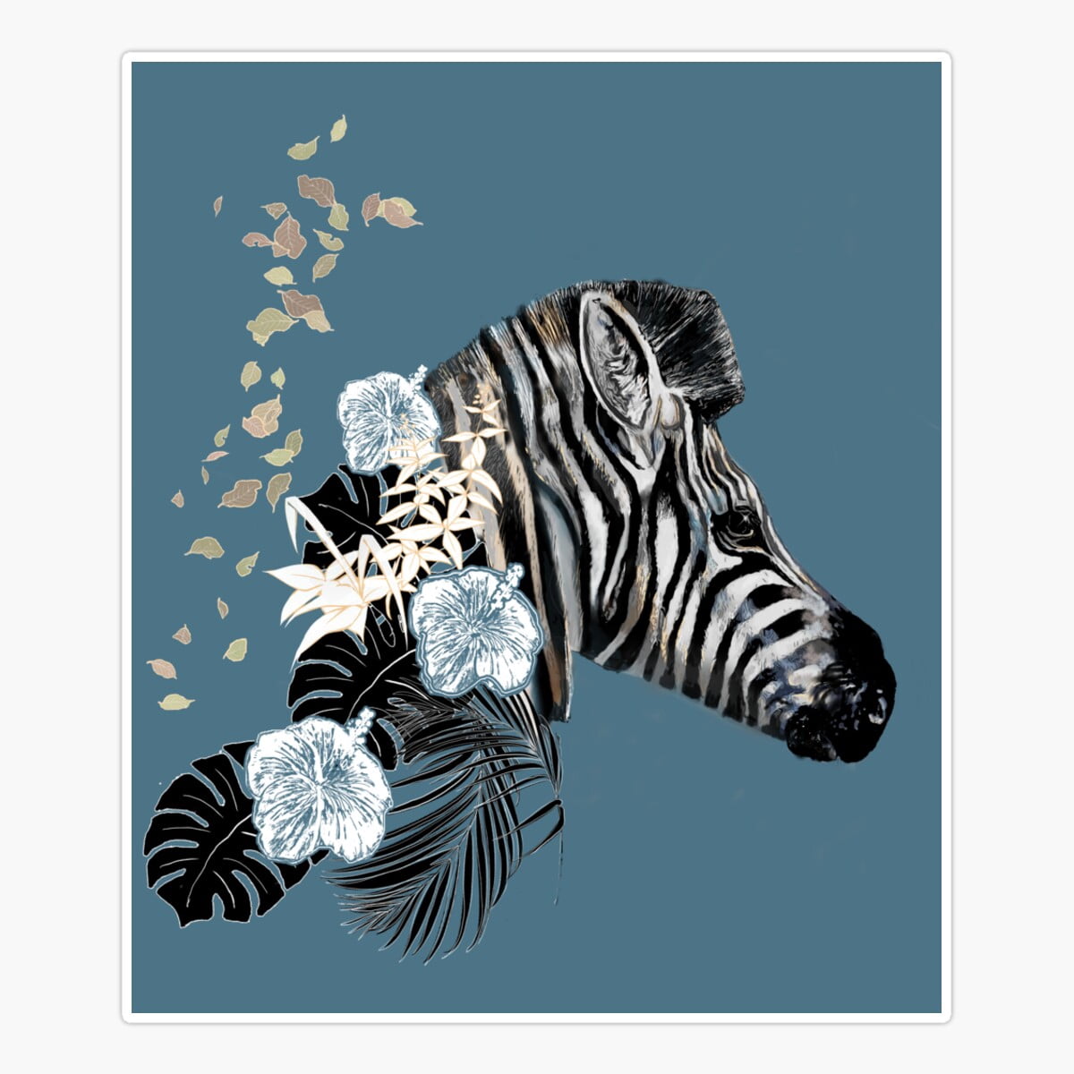 Maneki Aurora Blue Zebra | Flora And Hibiscus Plants | Nature ...