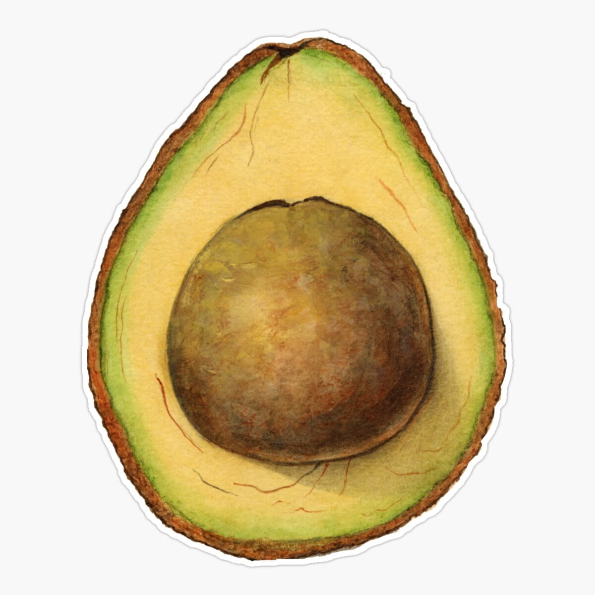 Maneki Avocados - Pomological Watercolor Collection Sticker, Phone ...