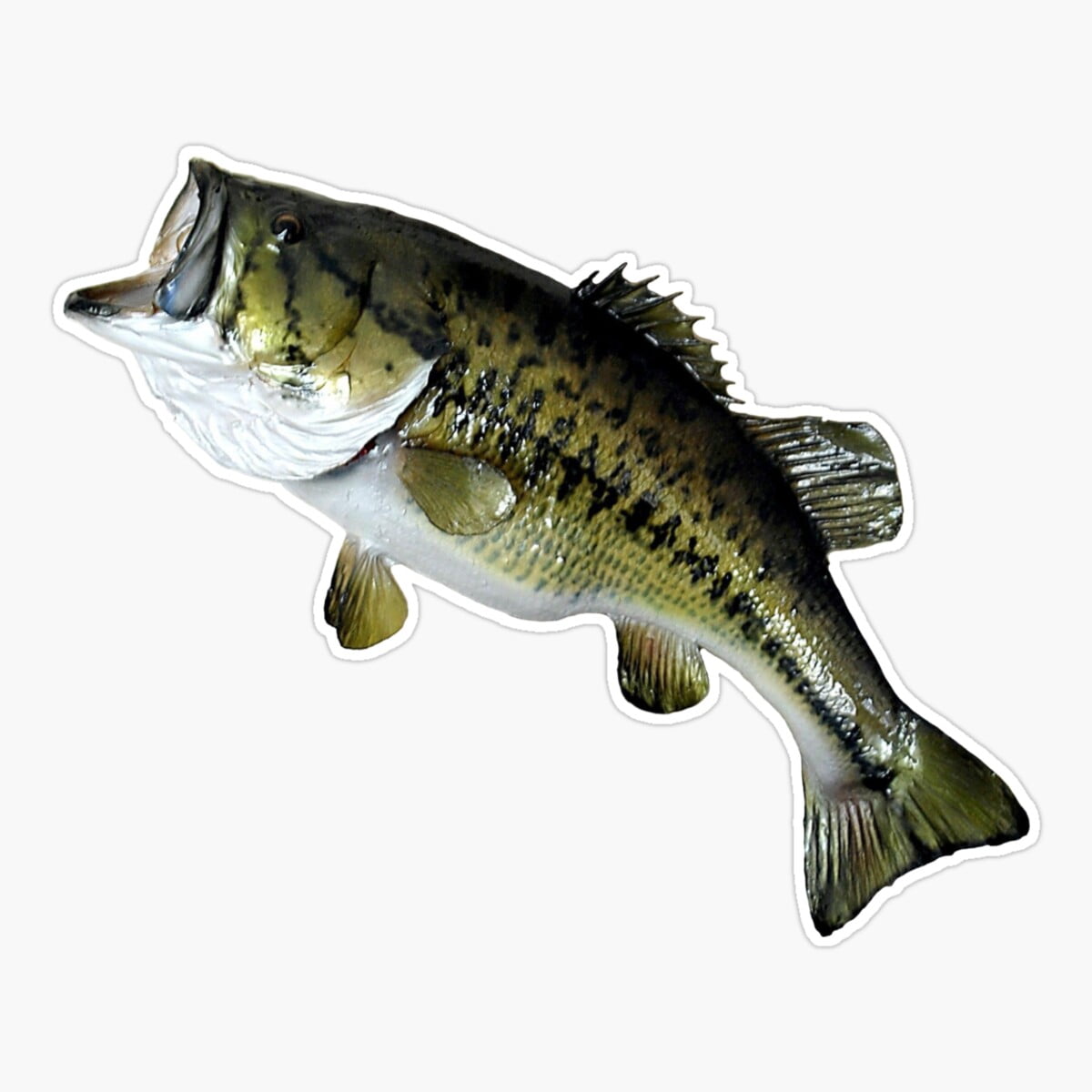 Maneki B Ishing, Real Largemouth B Ish High Quality B Ishing Er, Phone Decal Water Bottle ...