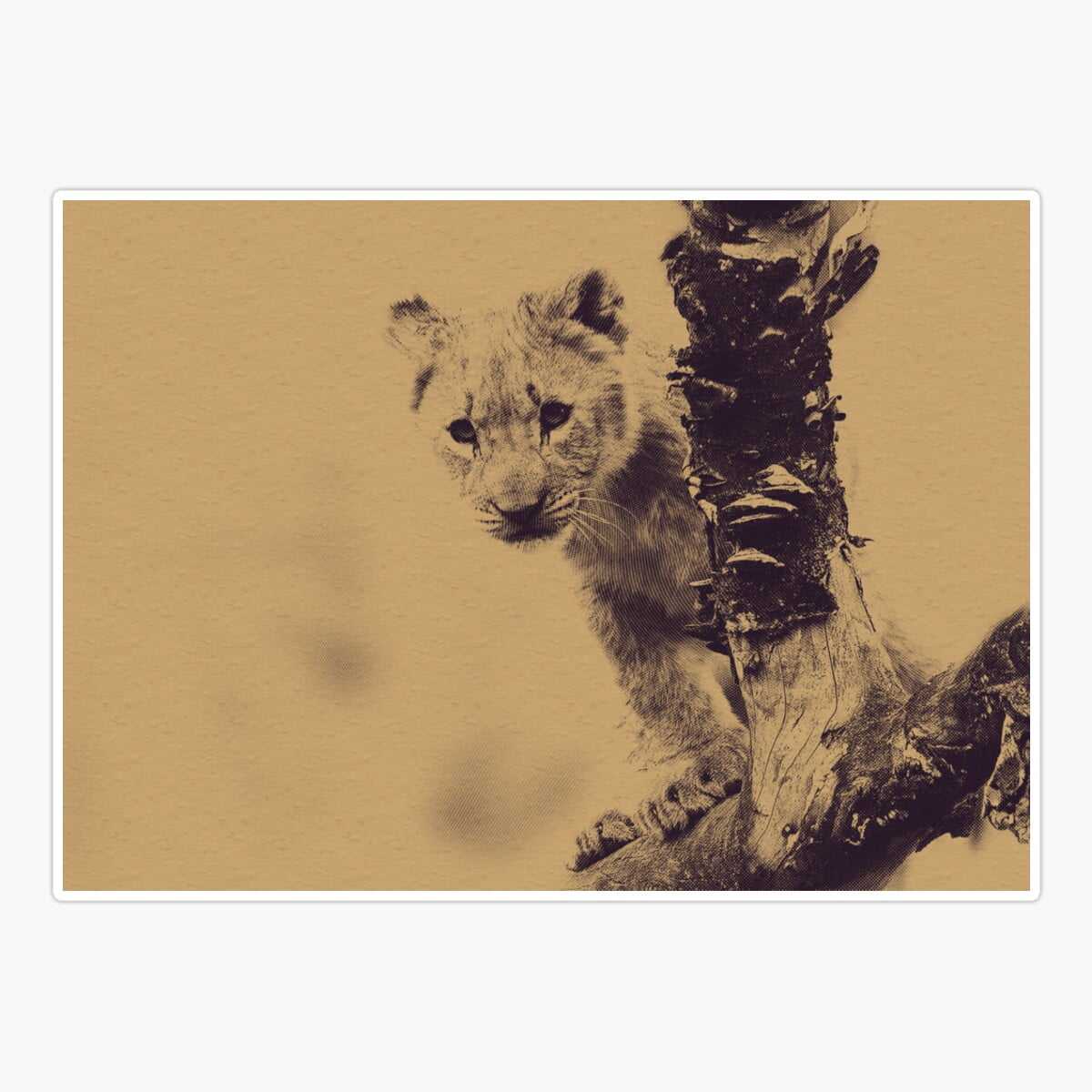 Maneki Baby Lion Cub Er, Phone Decal Water Bottle Stickers Car Decals ...