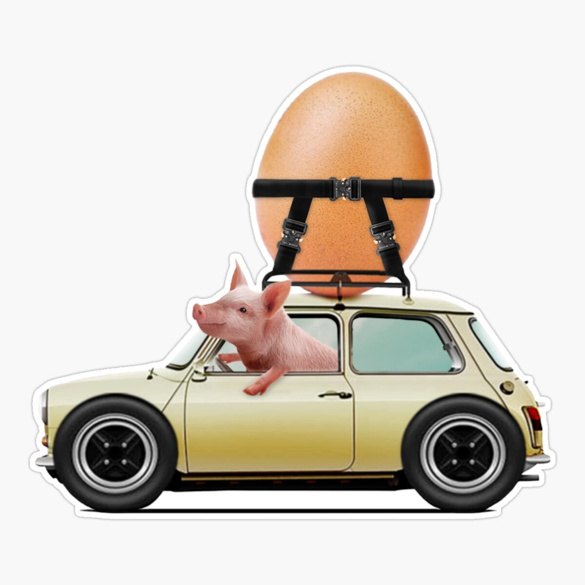 Maneki Bacon And Eggs - Piglet Driving A Car With An Egg On The Room ...
