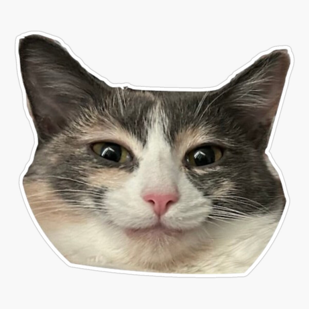 Maneki Benevolent Smile Sticker, Phone Decal Water Bottle Stickers Car ...