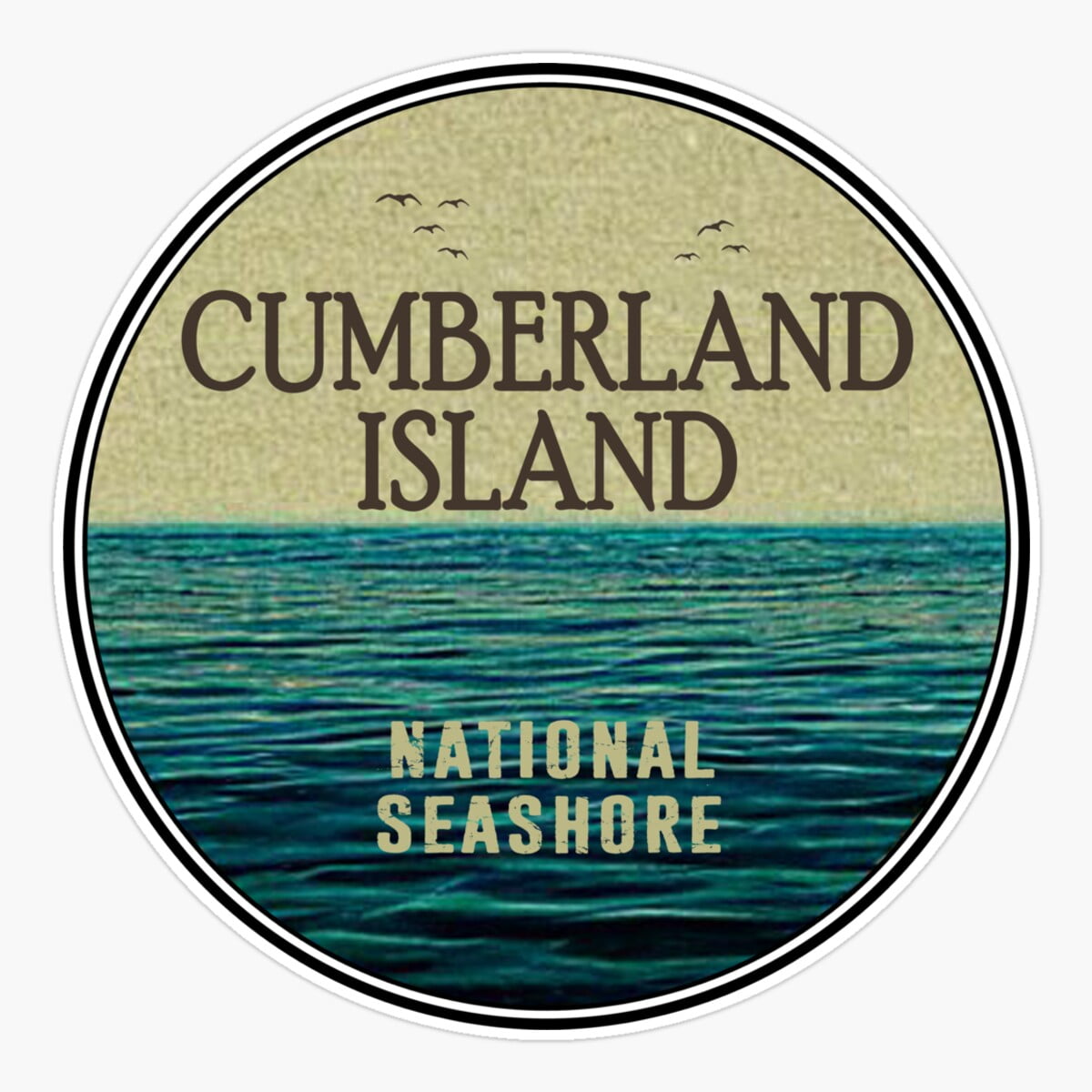 Maneki Berland Island National Seashore Georgia Ocean Birds Er, Phone ...