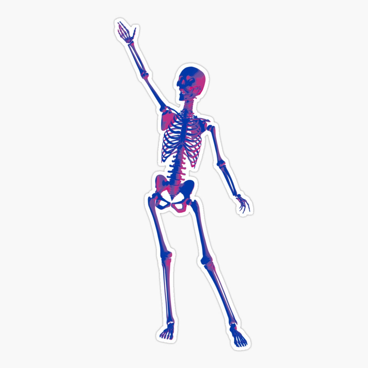 Maneki Bi Pride Skeleton Er, Phone Decal Water Bottle Stickers Car ...