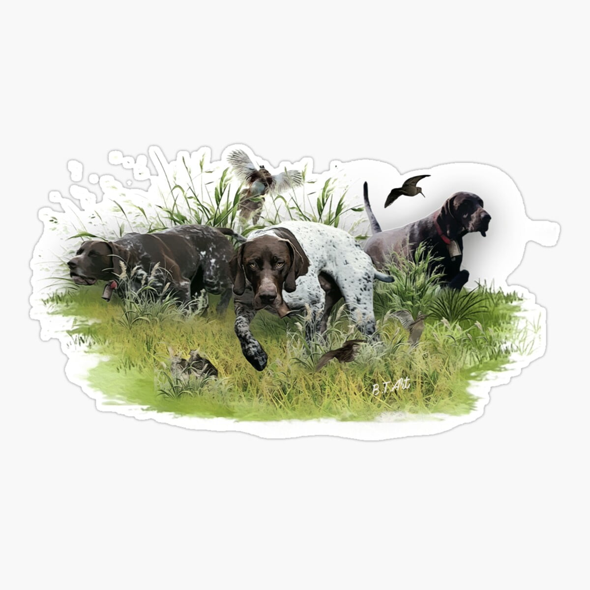 Maneki Bird Hunting With A German Shorthaired Pointer , Gsp Art Er ...