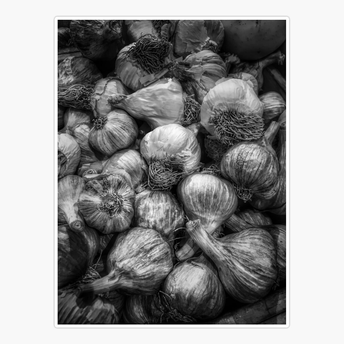 Maneki Black And White Garlic Sticker, Phone Decal Water Bottle ...