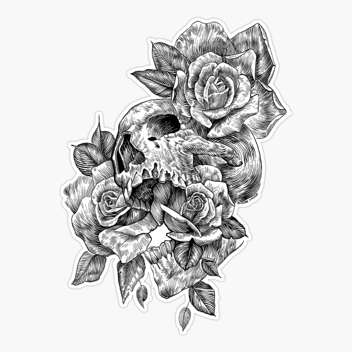 Maneki Black And White Ink Skull And Roses Er, Phone Decal Water Bottle ...