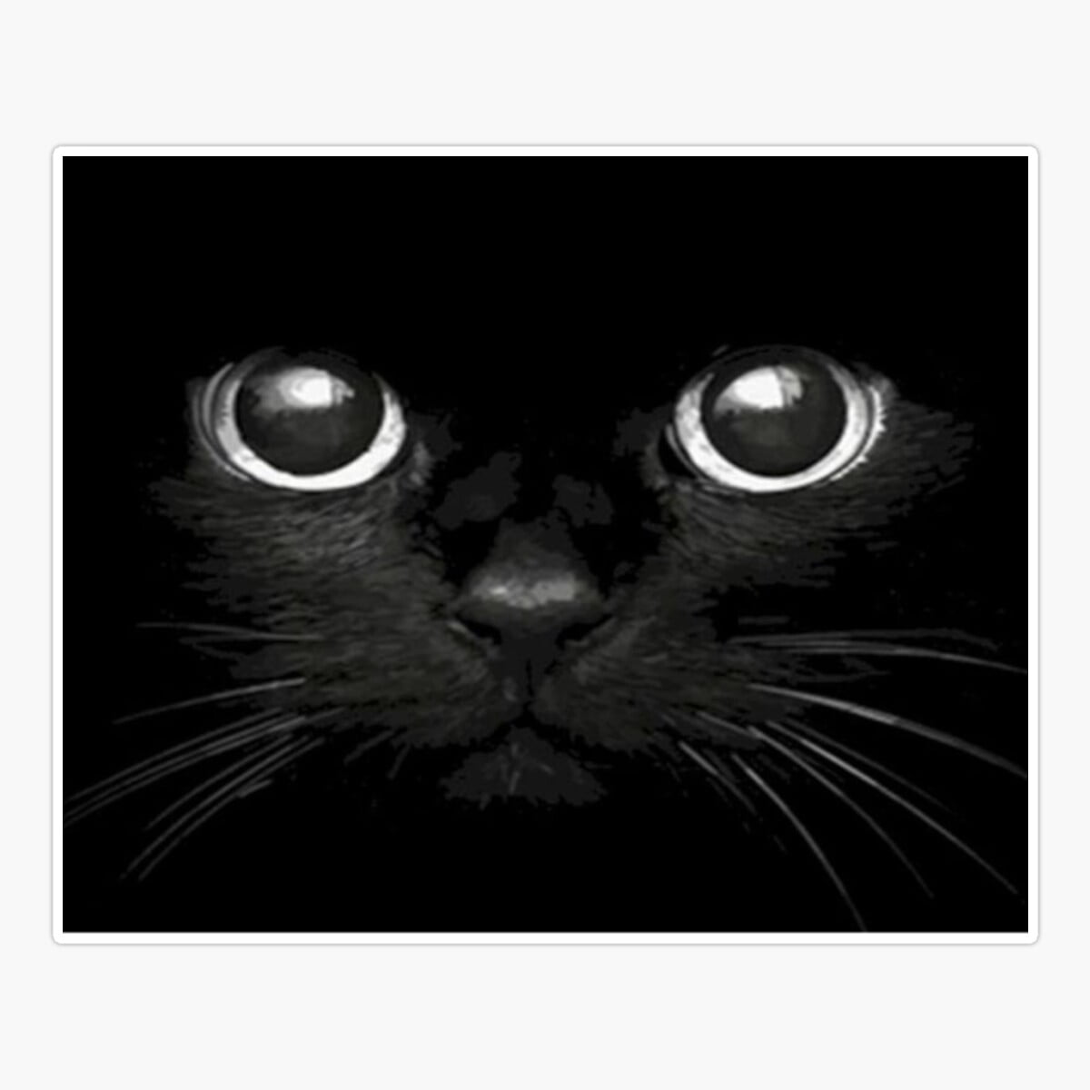 Maneki Black Cat Eyes Ace Close Up Sticker, Phone Decal Water Bottle ...
