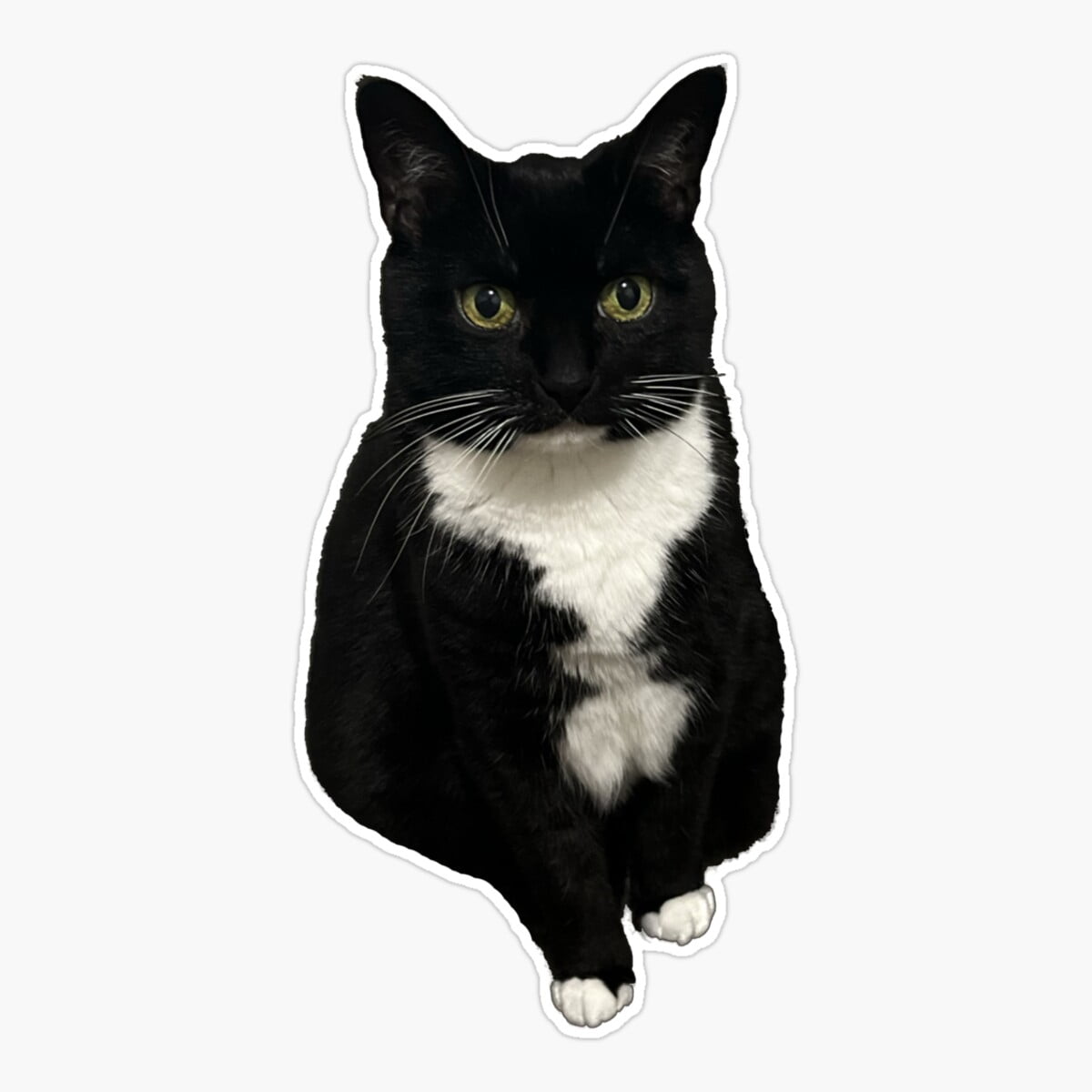 Maneki Black White Tuxedo Cat Sticker, Phone Decal Water Bottle ...