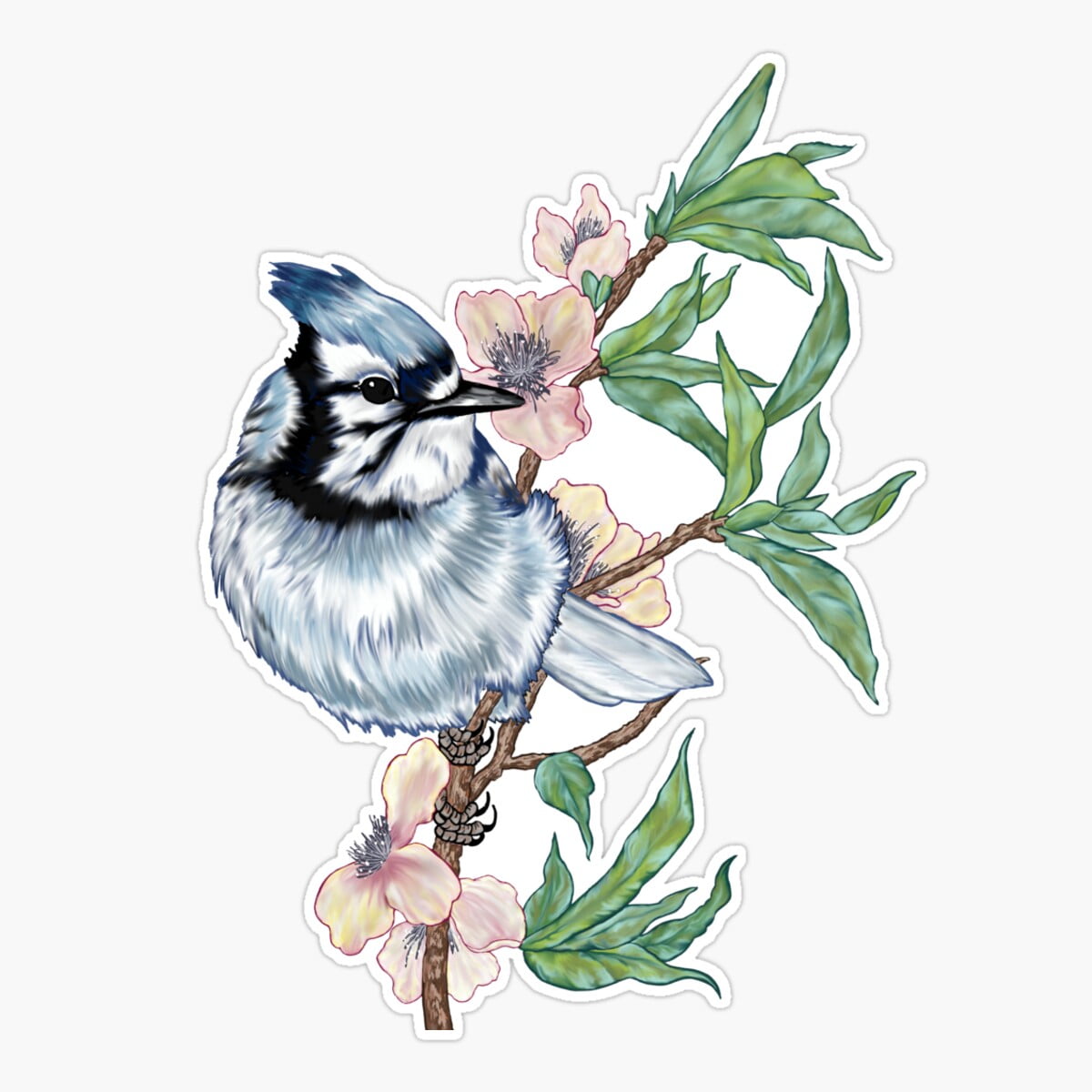 Maneki Blue Jay Er, Phone Decal Water Bottle Stickers Car Decals, Funny ...