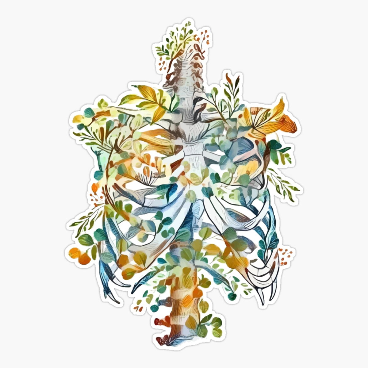 Maneki Bones And Botany, Loral Ribcage, Rib Cage, Anatomy Skeleton ...