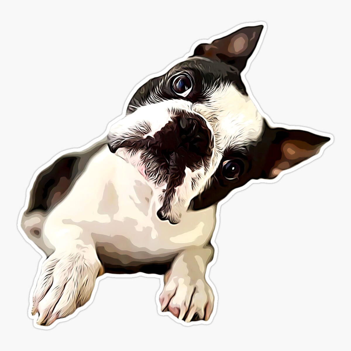 Maneki Boston Terrier Super Cute Dog! Er, Phone Decal Water Bottle ...