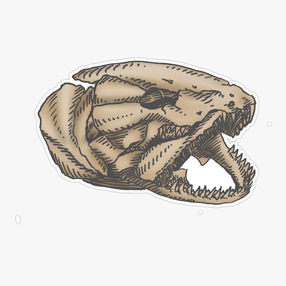 Maneki Bowin Skull Er, Phone Decal Water Bottle Stickers Car Decals ...