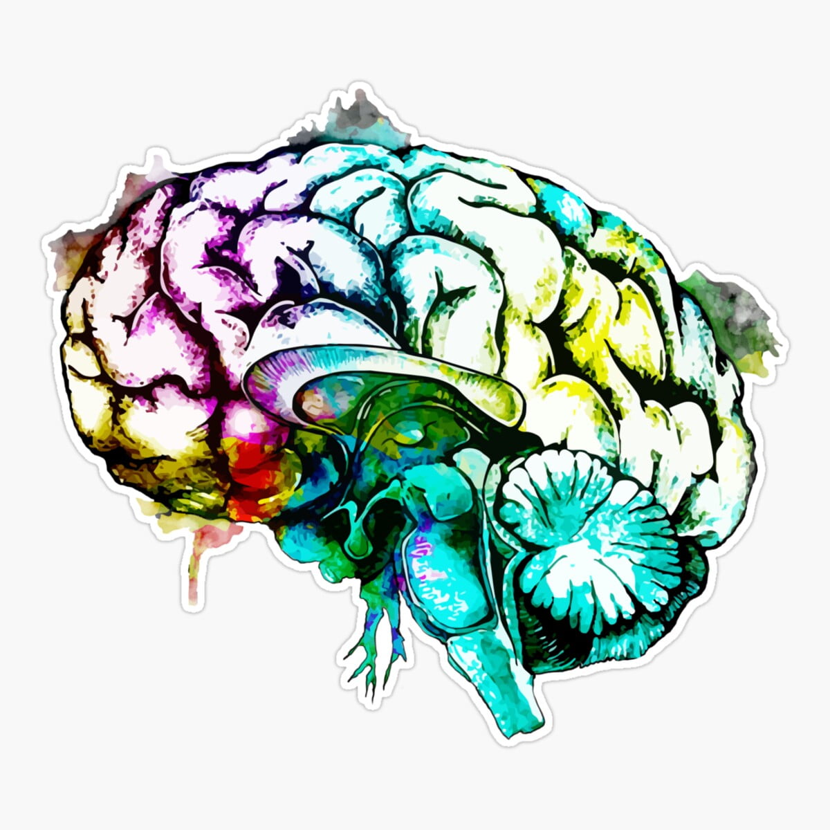 Maneki Brain Art Psychology Colorfull Er, Phone Decal Water Bottle ...