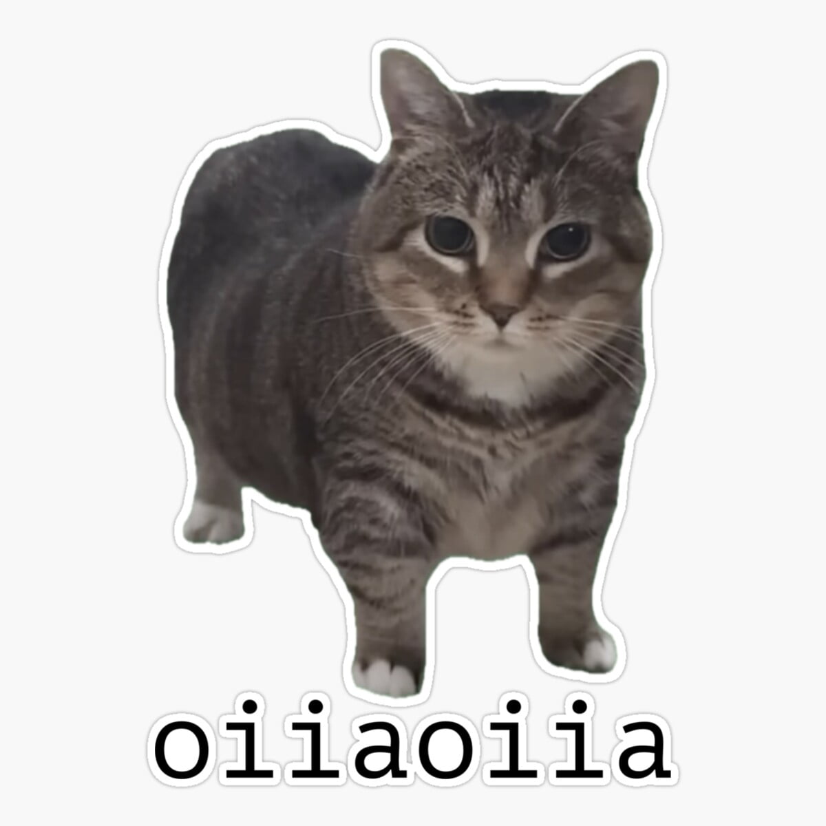 Maneki Brainrot Cat Sticker, Phone Decal Water Bottle Stickers Car ...