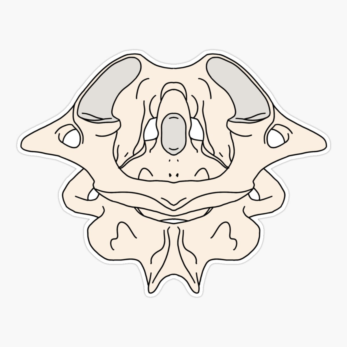 Maneki C1/C2 Line Art, Minimalist Atlas Axis Skeleton Anatomy Medical ...