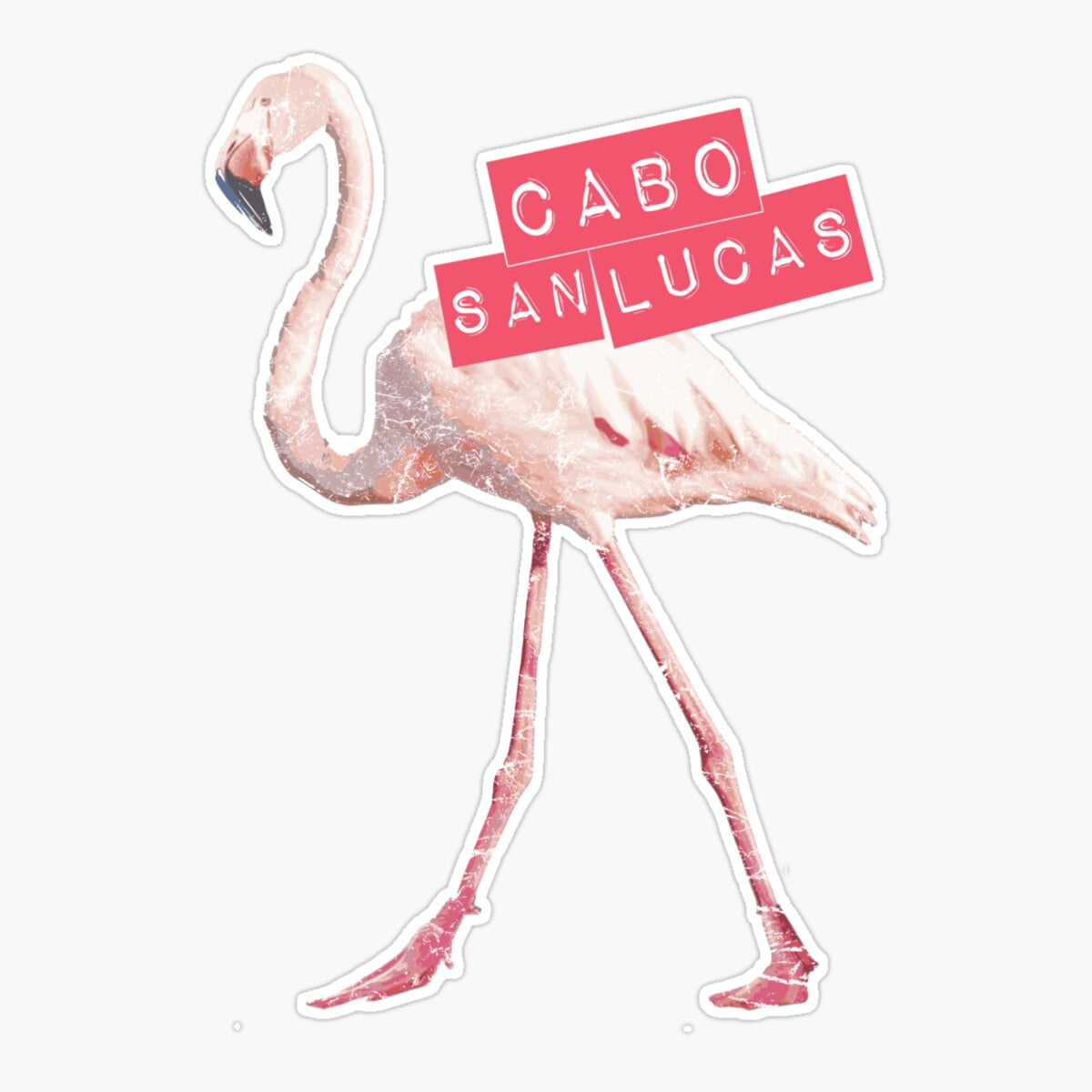 Maneki Cabo San Lucas Lamingo Mexico Vintage Travel Sticker, Phone ...