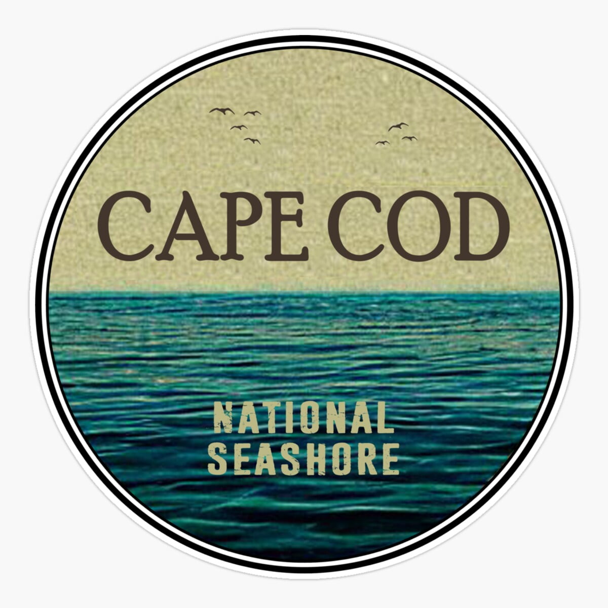 Maneki Cape Cod National Seashore Machusetts Ocean Birds Er, Phone ...