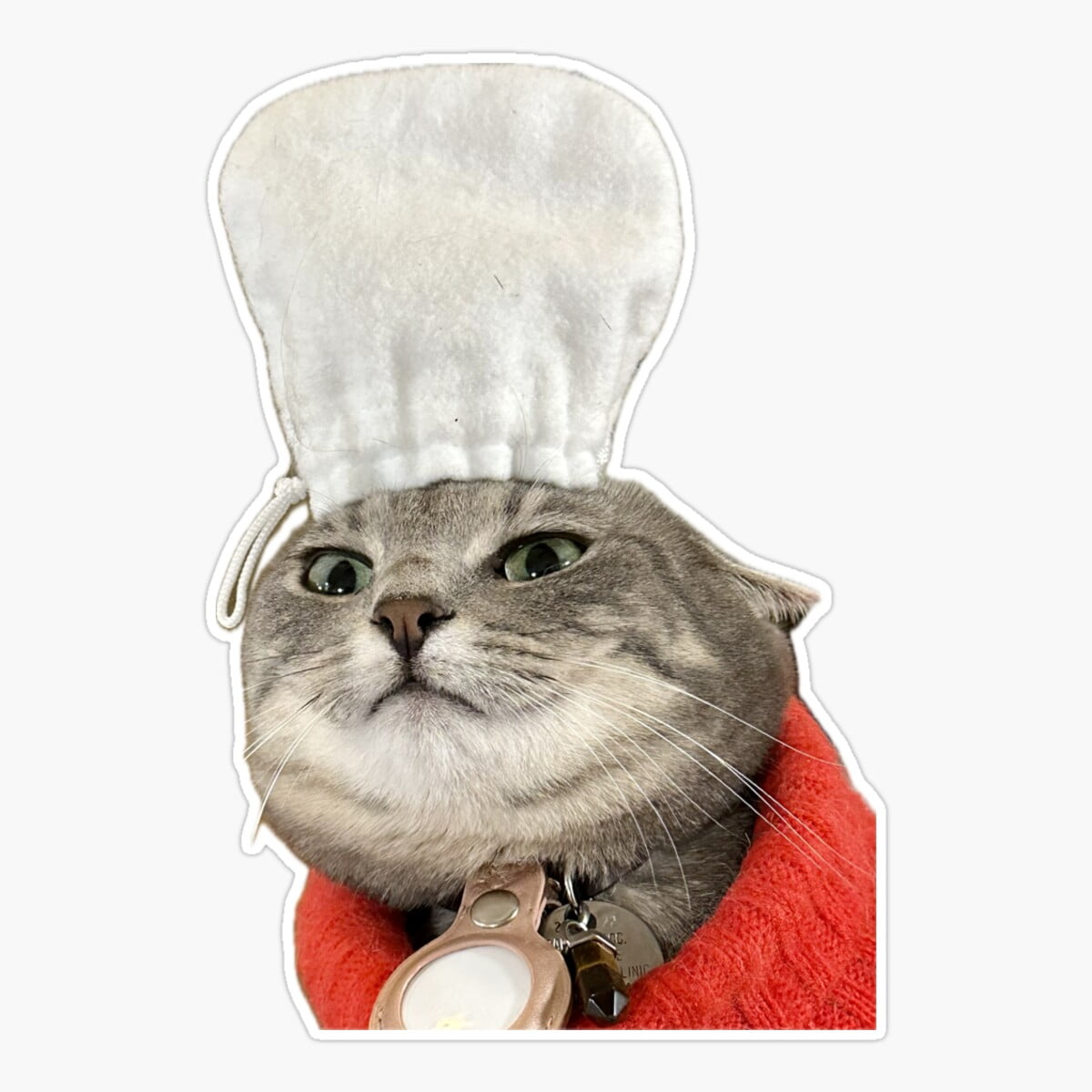 Maneki Cat In Che Hat Sticker, Phone Decal Water Bottle Stickers Car ...