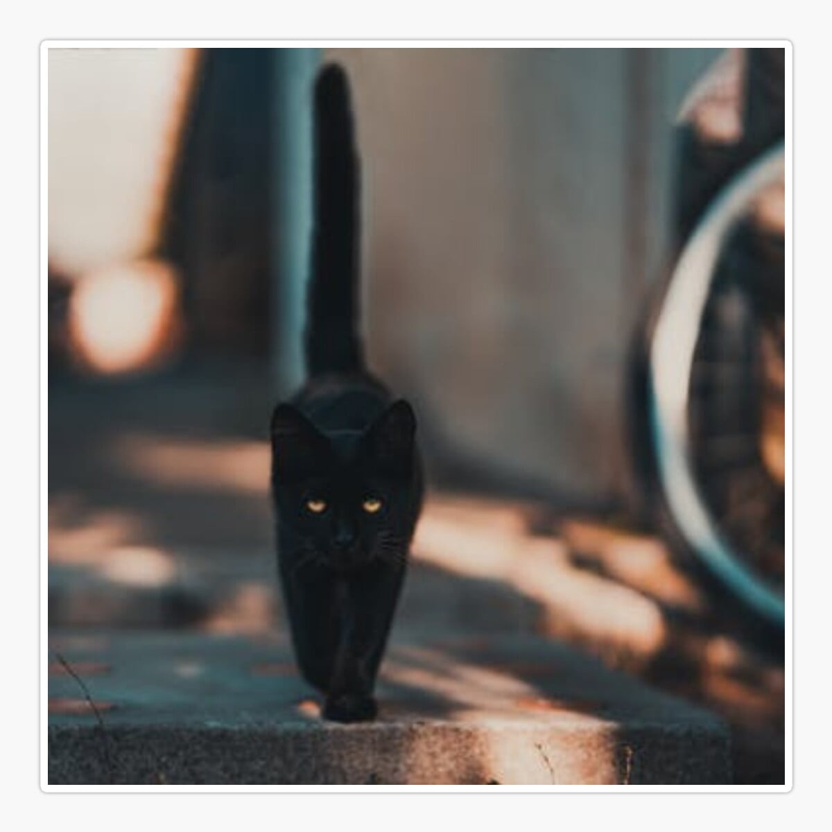 Maneki Cat On The Prowl Sticker, Phone Decal Water Bottle Stickers Car ...