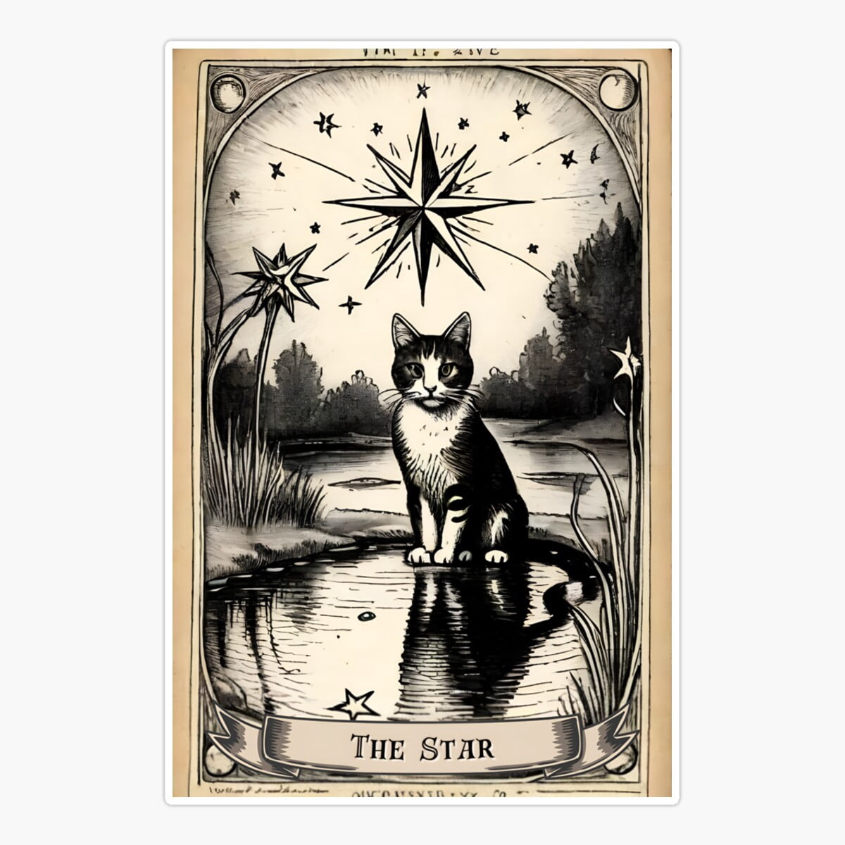 Maneki Cat Themed Tarot Collection: The Star Er, Phone Decal Water ...