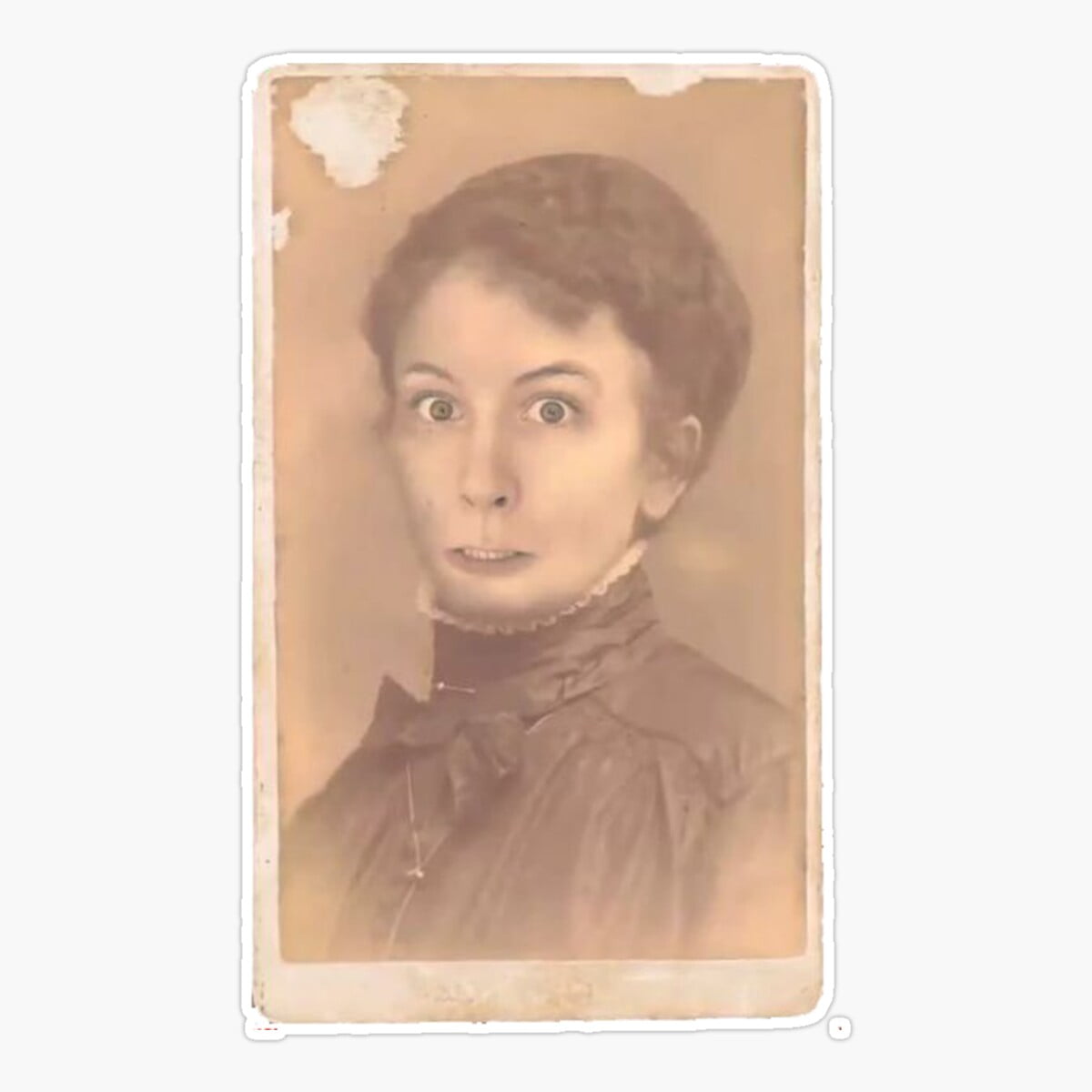 Maneki Charlie'S Ancestor Sticker, Phone Decal Water Bottle Stickers ...