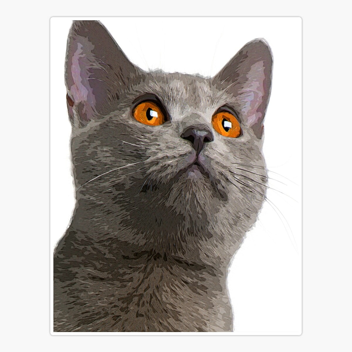 Maneki Chartreux Grey Cat Сolor Print Sticker, Phone Decal Water Bottle ...