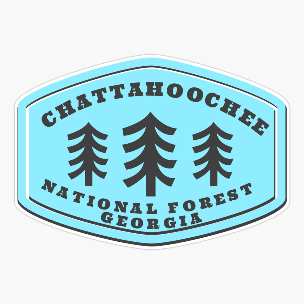 Maneki Chattahoochee National Orest Georgia Vintage Retro Orest Hiking ...