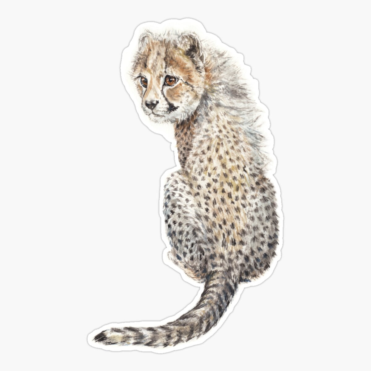 Maneki Cheetah Watercolor Detailed Looking Back Big Cat Safari Er ...