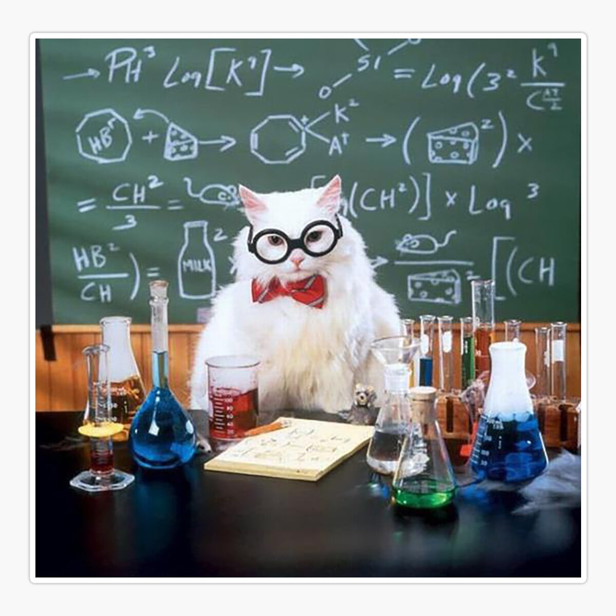 Maneki Chemistry Cat Sticker, Phone Decal Water Bottle Stickers Car ...