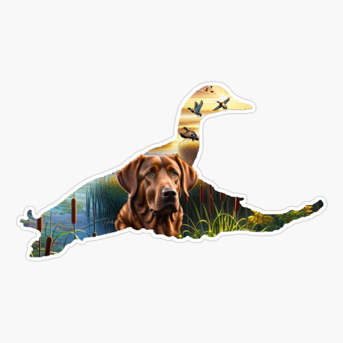 Maneki Chesapeake Bay Retriever And Lying Mallard Er, Phone Decal Water ...