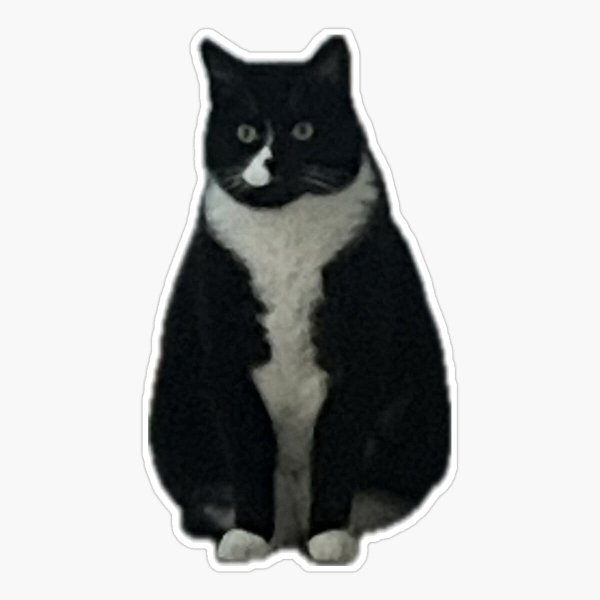 Maneki Chubby Real Cat Sticker, Phone Decal Water Bottle Stickers Car ...