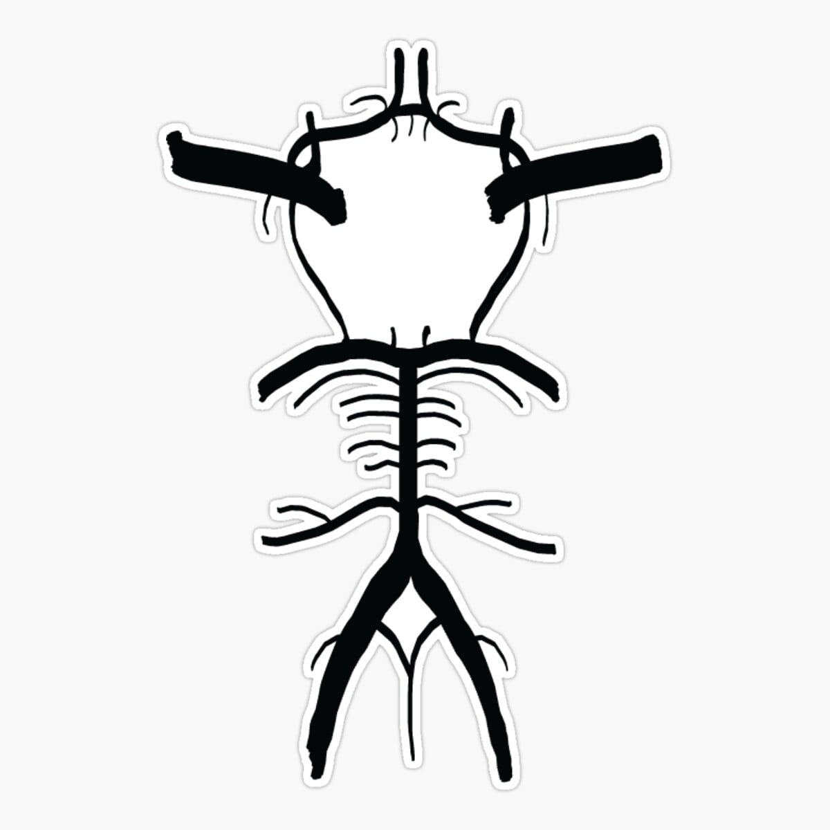 Maneki Circle Of Willis, Anatomy Of The Brain Arteries In Black Er ...