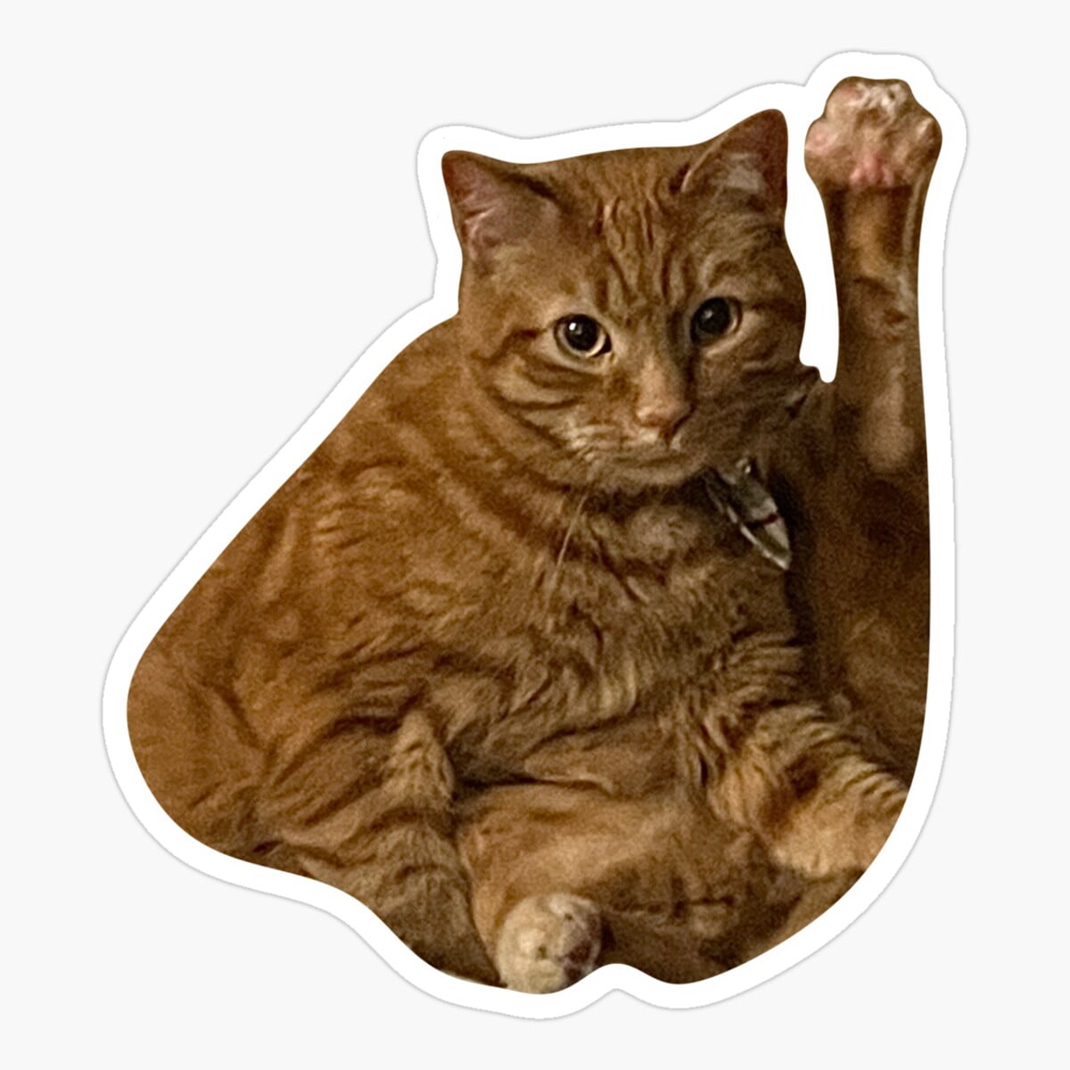 Maneki Clarence Chicken Leg Sticker, Phone Decal Water Bottle Stickers ...