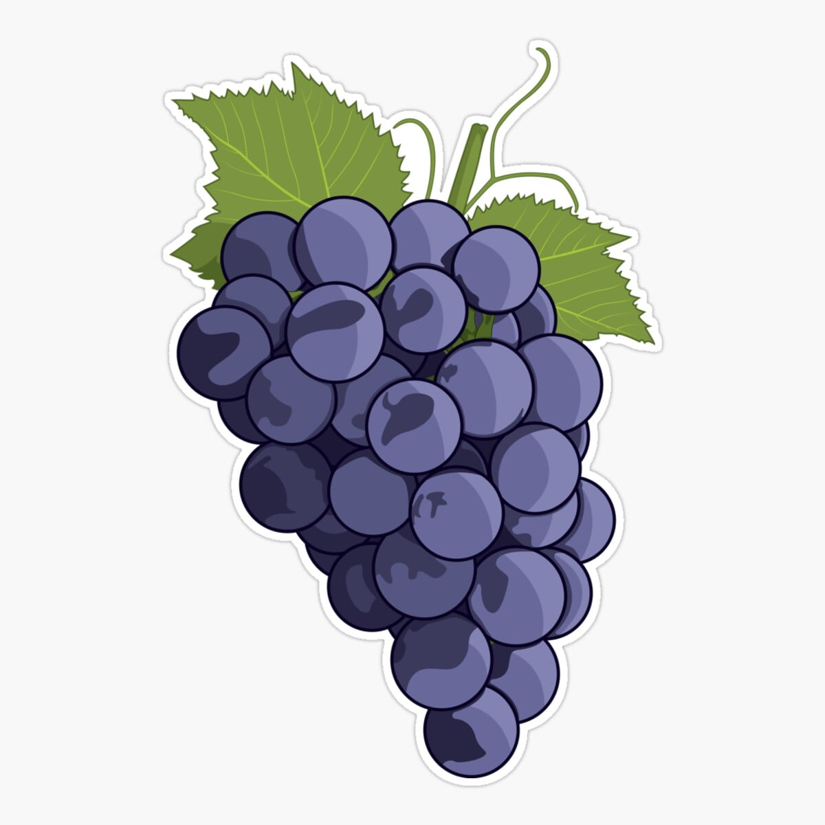 Maneki Cluster Of Red Grapes Er, Phone Decal Water Bottle Stickers Car ...