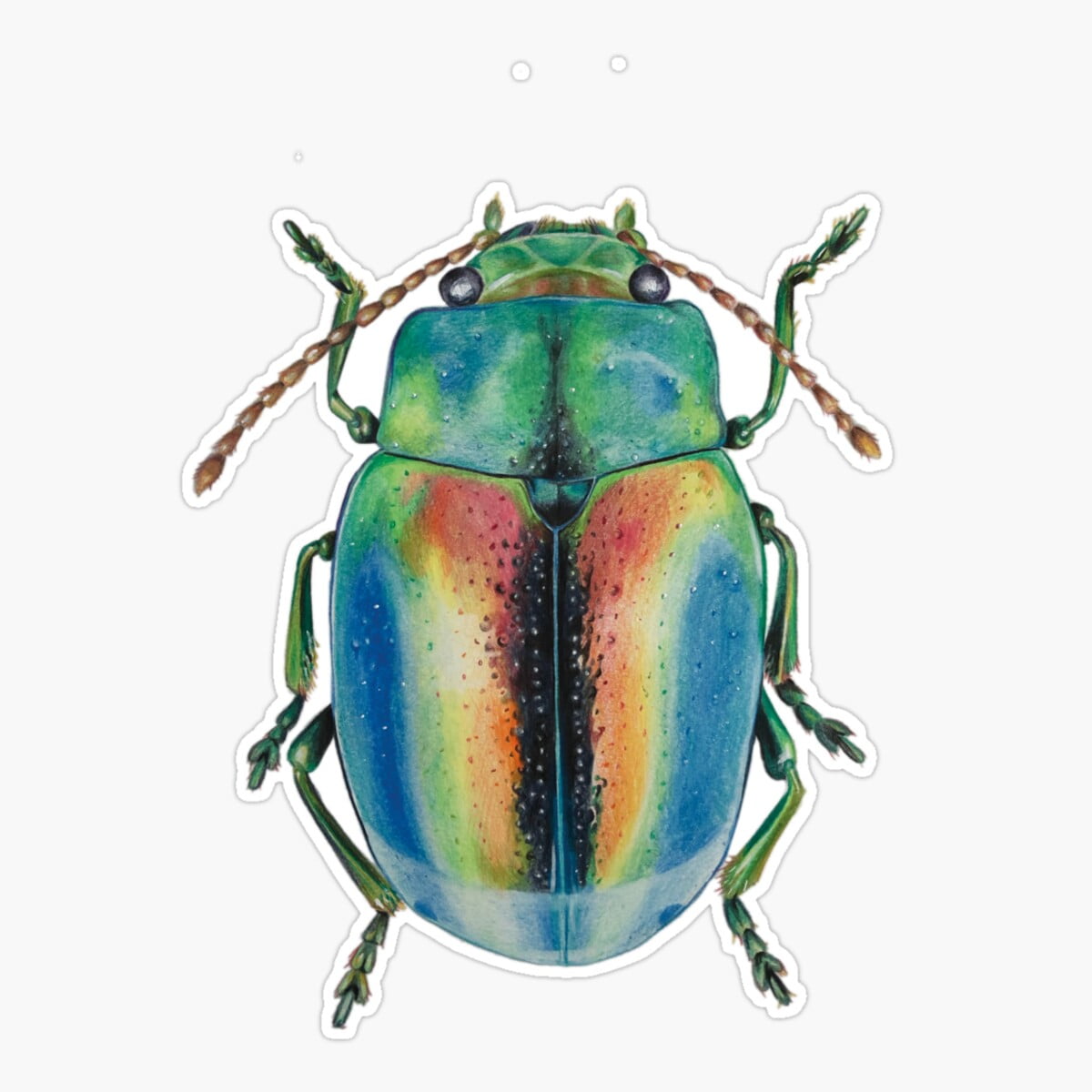 Maneki Colorul Beetle, Realistic Bug, Shimmering Colors, Beautiul ...