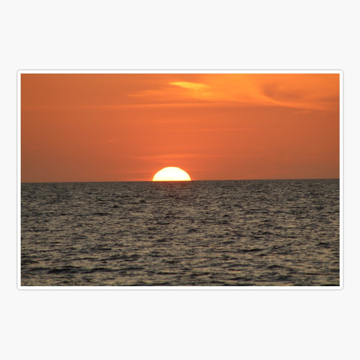 Maneki Colorul Lorida Sunset Sticker, Phone Decal Water Bottle Stickers ...