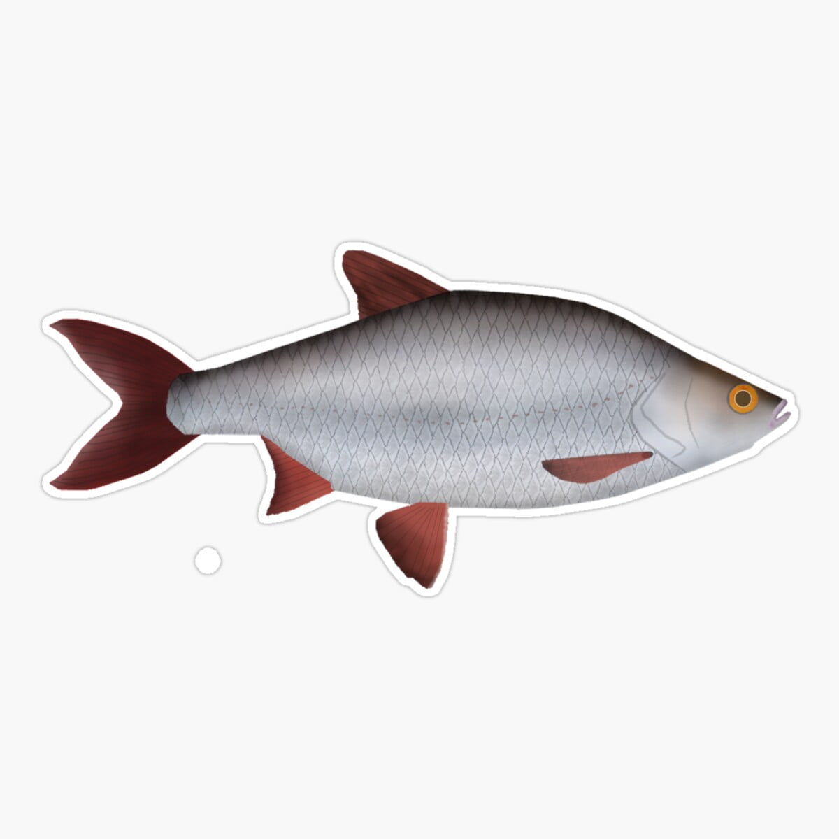 Maneki Common Roach Er, Phone Decal Water Bottle Stickers Car Decals ...