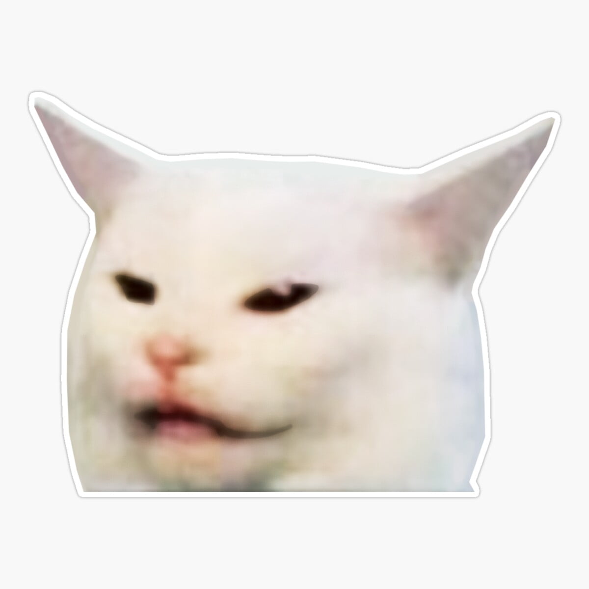 Maneki Conused Cat / Smudge The Cat Sticker, Phone Decal Water Bottle ...