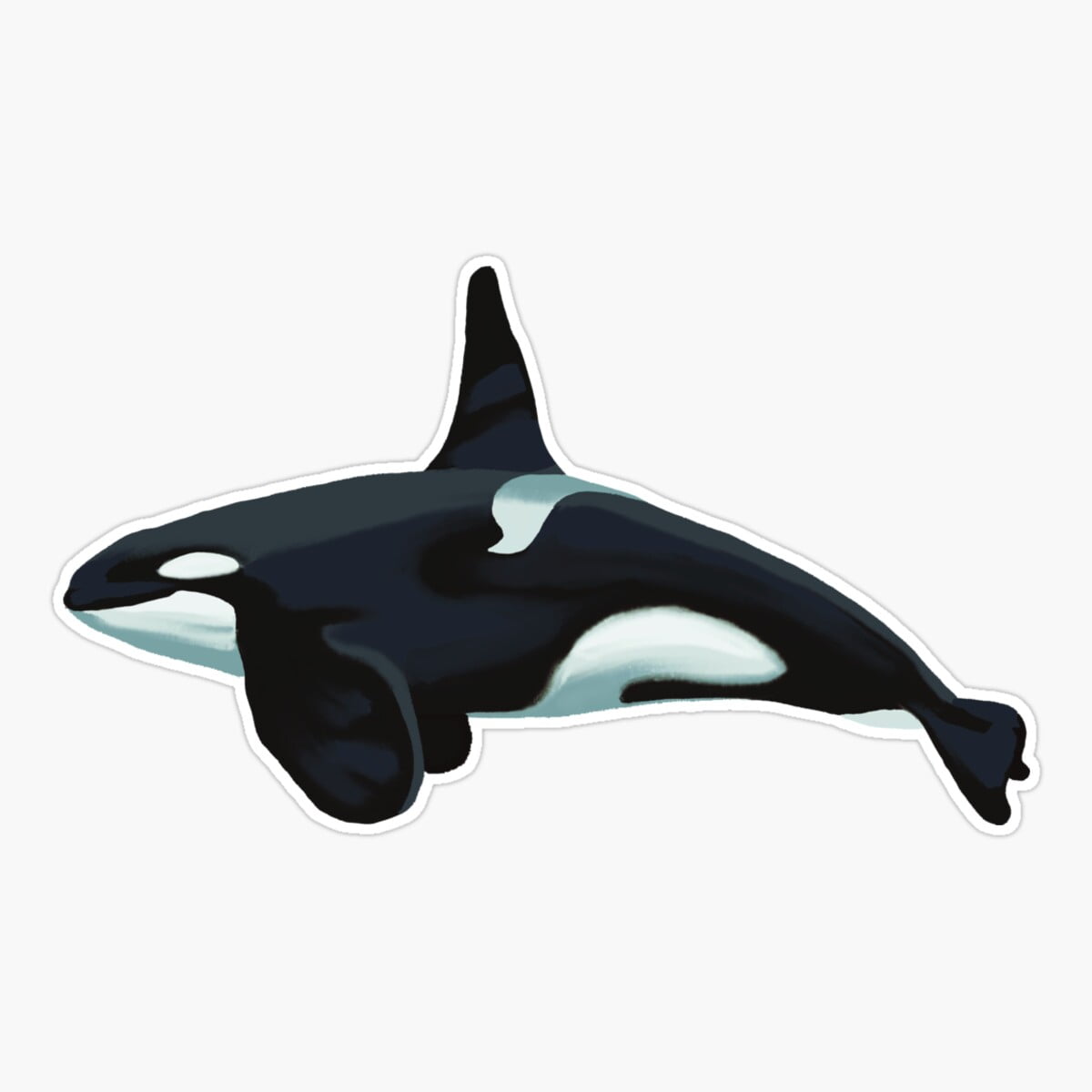 Maneki Copy O Orca & Kelp Design // Killer Whale Sea West Coast ...